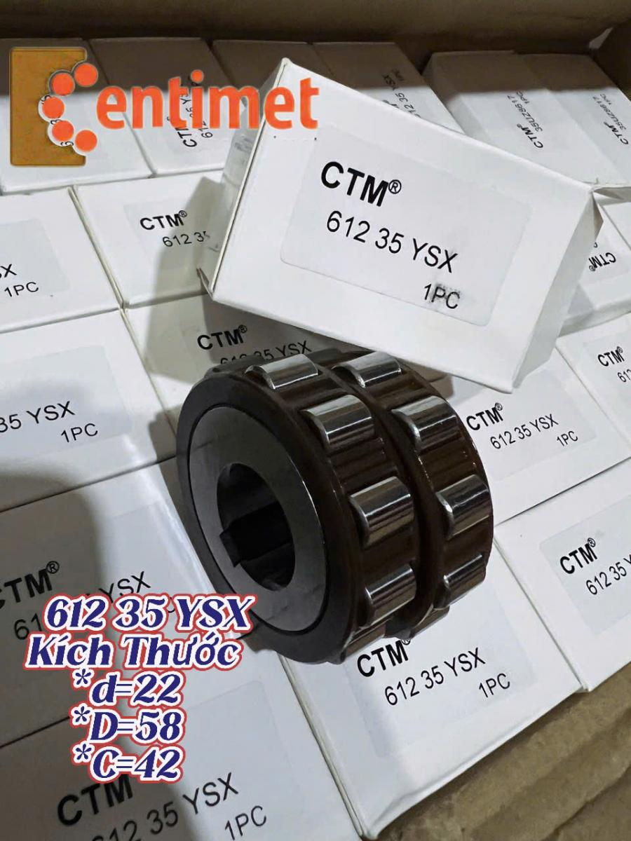 Vòng Bi Lệch Tâm 612 35 YSX CTM Chính Hãng
